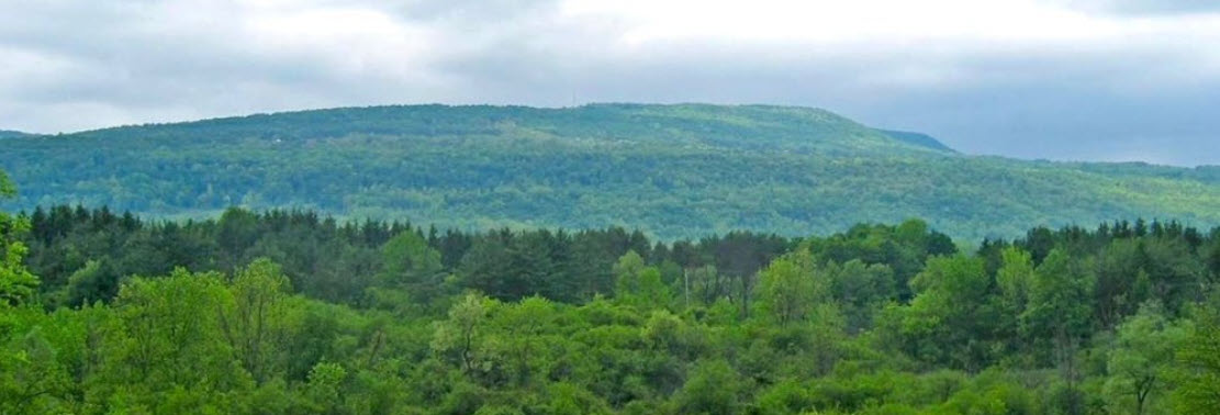 One Thousand Acres Returned to Onondaga Nation – Onondaga Nation